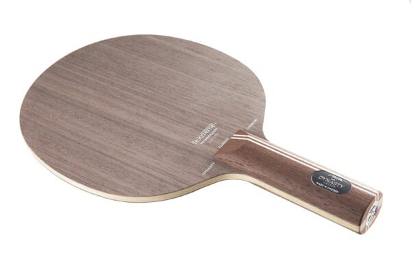 Stiga Dynasty Carbon • AmericaTT